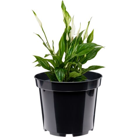 Garronda Pots Horticulture Ronds Pots pour Culture de Plants de Plantes ...