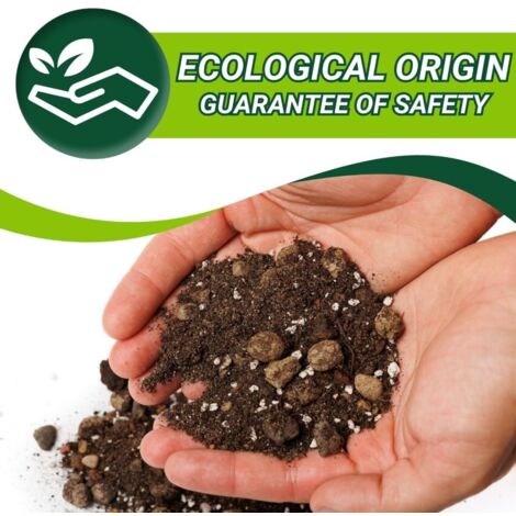 Substrat Premium pour Cactus et Plantes Succulentes 5L - Enrichi en ...