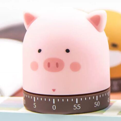 Minuteur cochon 60 minutes - Minuteur de cuisine - Minuteur à remontage ...
