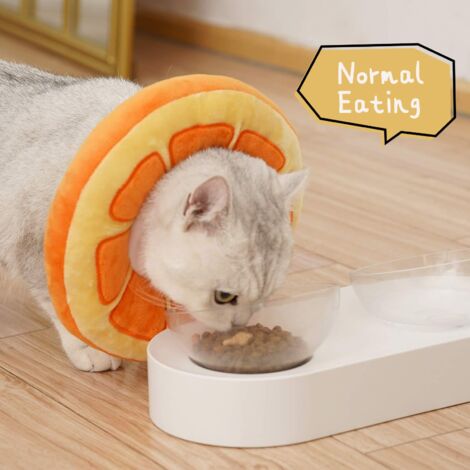 Collier conique ajustable pour chat, doux et mignon, en forme de donut ...