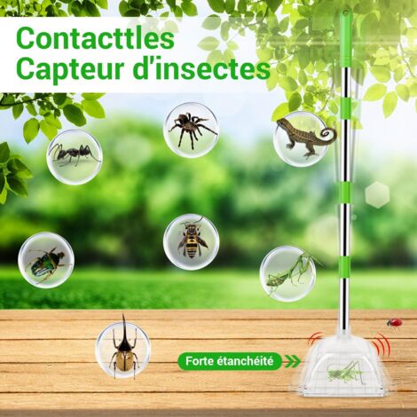 Attrape Araignée, Attrape Insectes Vivants, Attrape-araignée à Long ...
