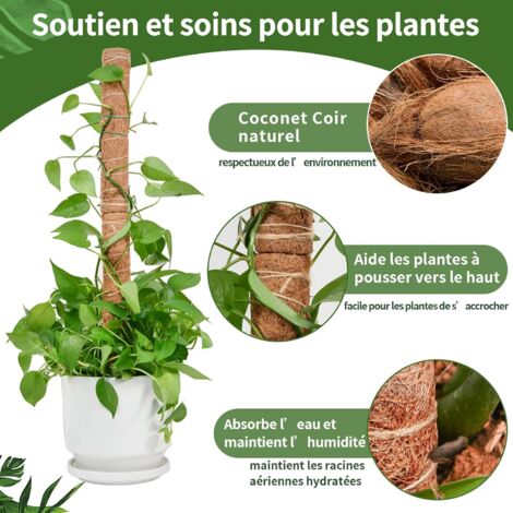 Tuteur Monstera pour Plantes, Tuteur Plante Grimpante 4 Pièces Bâton de ...