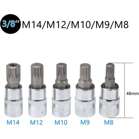 1/2'', 1/4'', 3/8'' Torx-Steckschlüssel, 12-Punkt-Torx-Bit M4 M5 M6 M8 ...