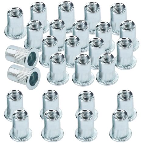Nietmuttern-Set aus Edelstahl, 100 Stück M6-Nietmuttern, Gewinde ...