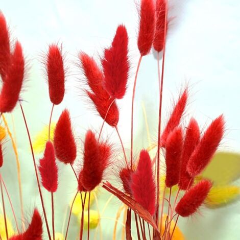 120 flores secas de hierba de pampa roja, naranja, decoración de pampa ...