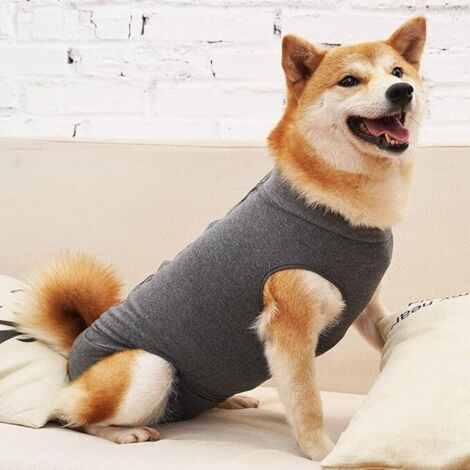 Traje postoperatorio de esterilización para perras, traje de castración ...