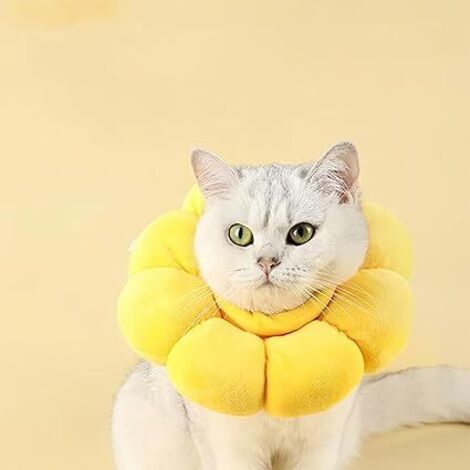 Collar protector lavable para recuperación de perros y gatos, collar ...