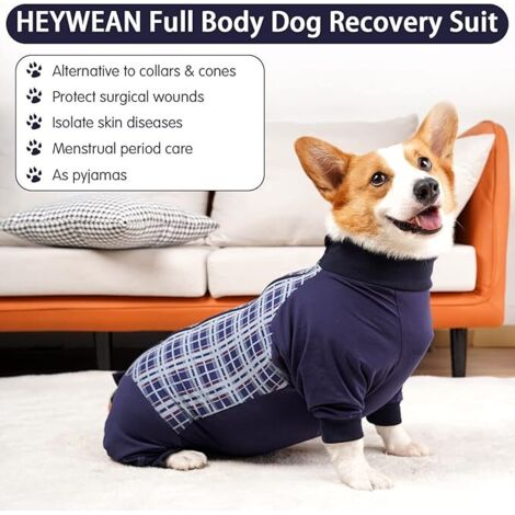 Traje de recuperación canina de manga larga - Traje postoperatorio con ...