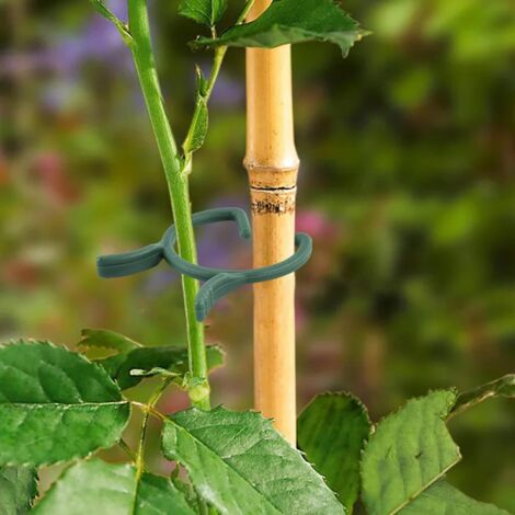 CCYKXA 100 PCS Plant Clips, 2.5x 2.2cm Clips for Securing Plants ...