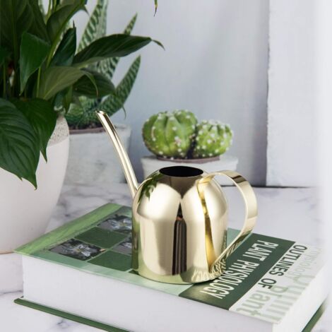 Ahlsen 500ml Arrosoir en Acier Inoxydable Mini Style Moderne Petit Pot ...