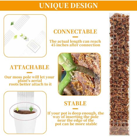 Tuteur Monstera,24 Pouces 4-Pack Tuteur Sphaigne,avec Velcro et Clous ...