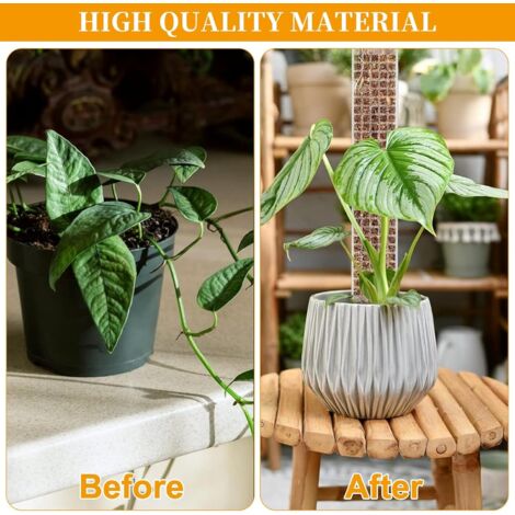 Tuteur Monstera,24 Pouces 4-Pack Tuteur Sphaigne,avec Velcro et Clous ...