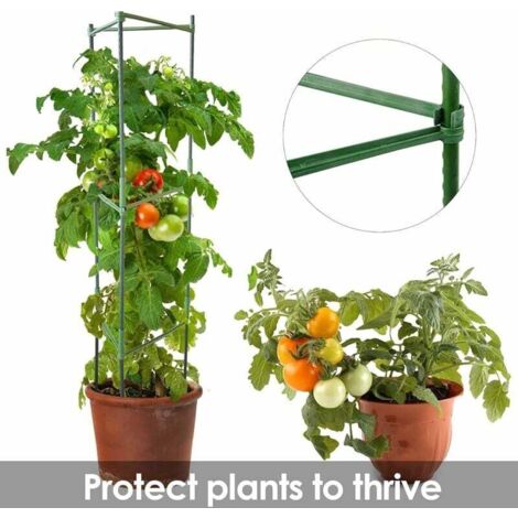 (Vert) Lot de 30 bras de tuteurage pour cage à tomates Supports de ...