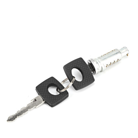 Eosnow Barillet de serrure de porte avec 2 clés 6707600205 adapté pour ...