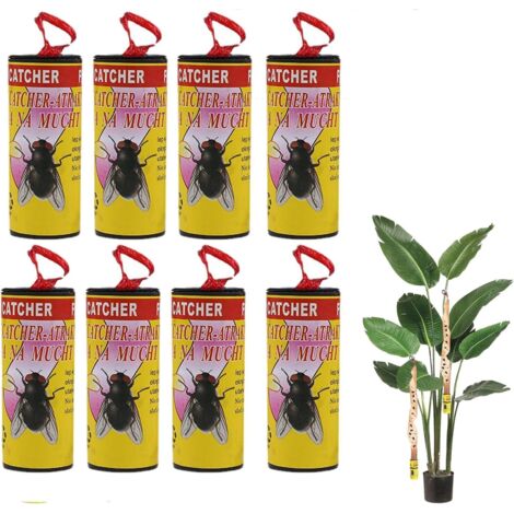 Fly Trap, 8 Pack, Yellow Stickers, Fungus Gnat Trap, Fungus Gnat Trap ...