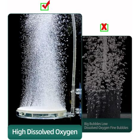 Aquarium Air Diffuser, Quiet, Dissolved Oxygen & Ultra High CO2 ...