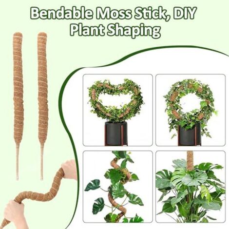 Tuteur Monstera, 2pcs 70cm Tuteur Plante Grimpante avec Accessoires ...