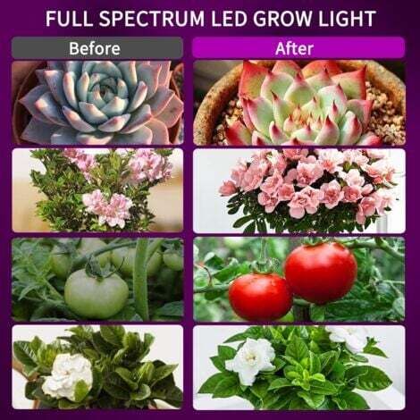 Lampe de Plante, 100W E27 LED Spectre Complet Plante Cultive la Lampe ...