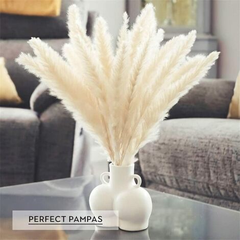 Lot de 30 Herbe de pampa séchée vases de fleurs artificielles séchées ...