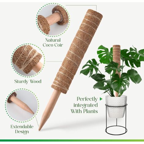 CCYKXA - Confezione da 2 pali estensibili in muschio, supporto per ...