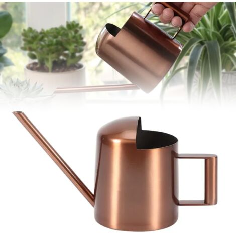 300ml Indoor Plant Watering Can - Mini Watering Can: Stainless Steel ...