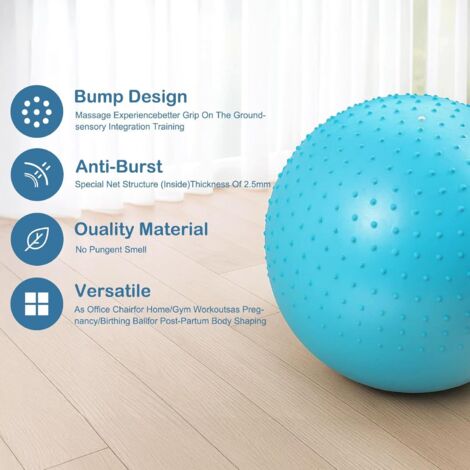 JF HOME BLISS 65CM Exercise Ball Yoga Pilates & Balance - Anti Slip ...
