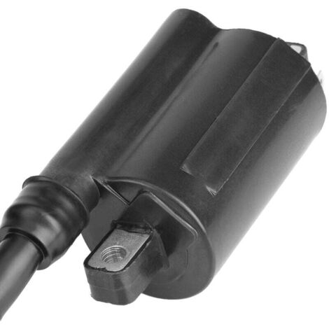 Bobine d'allumage Denso 129700 Bobine d'allumage adaptée pour Denso ...