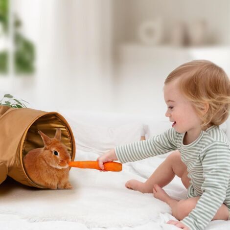 Tunnel pour lapin anti-ennui avec niche chat pliable marron ...