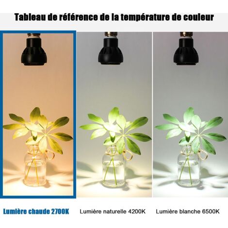 Confezione da 5 lampadine LED E14 standard da 6 W, equivalenti a 60 W ...