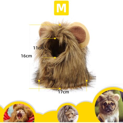Costume d'Halloween - Petits chats et chatons - pour Halloween ...