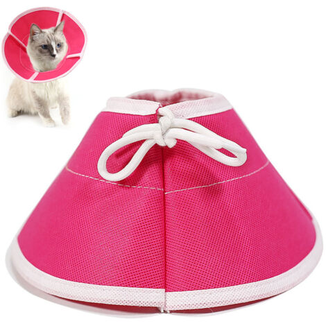 Collier De Récupération Doux Pour Chat, Collier De Cône De Chat ...