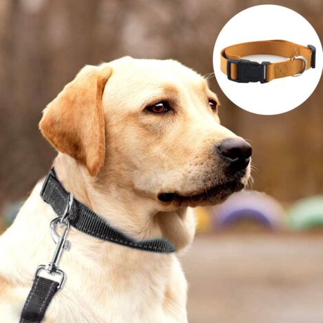 Carhartt Pet Colliers En Sangle Entièrement Réglables Pour Chiens ...