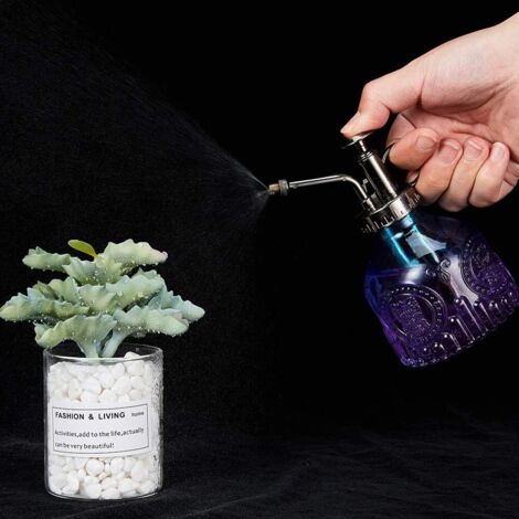 Regadera de vidrio vintage con bomba superior, pequeña, para plantas de ...