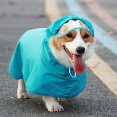 SHINING HOUSE Chaqueta impermeable con capucha y visera transparente ...