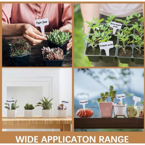 Paquete de 100 etiquetas para plantas, hortalizas y huertos. Ideales ...