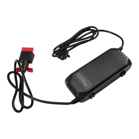 Cargador de batería de litio ESCH24V5A 1120-670001-01-03 para ...