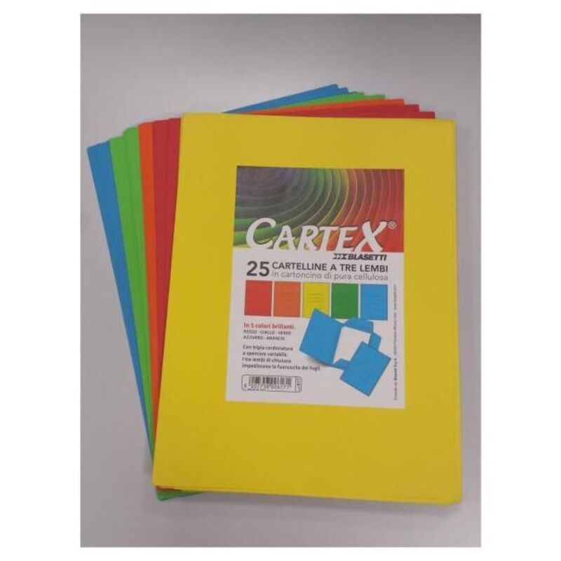 Blasetti 611 fichier Carton Vert A4