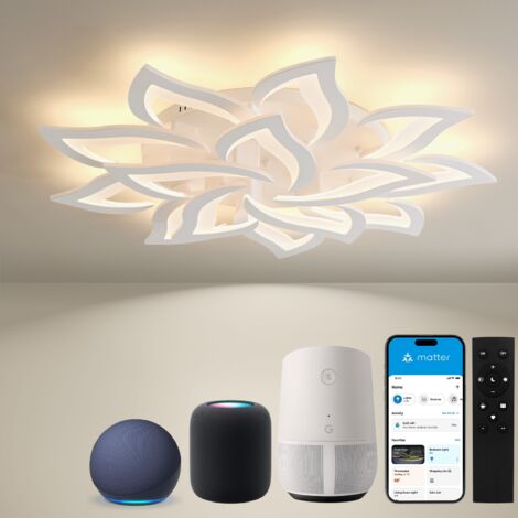 BAYHT Plafonnier avec télécommande, lampe de salon compatible avec ...
