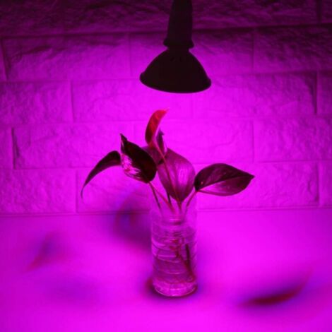Luz LED para cultivo, luz para plantas, bombilla E27 de 20 W, espectro ...