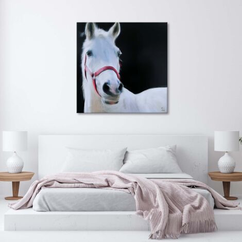 Tableau sur toile Cheval blanc Animaux 50x50