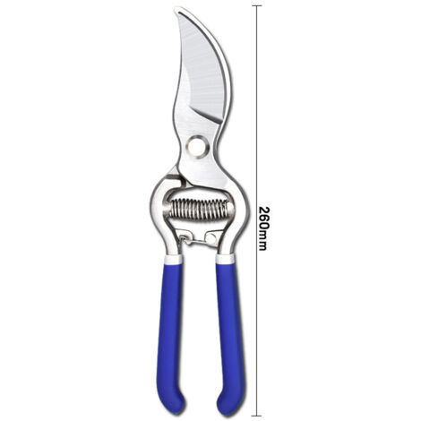 Sécateur à Cliquet - Pour Mains Affaiblies mais Adapté à Tous les ...