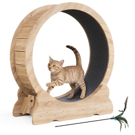 Roue d'exercice pour Chat 90L x 36P x 97H cm, Faible Bruit, Jouet ...