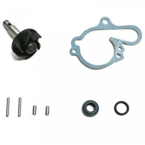 Pompe à eau Top performances pour Moto Peugeot 50 XP6 Avant 2020