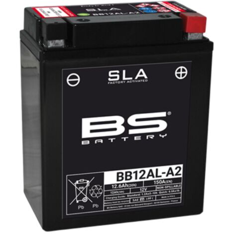 Batterie SLA BS Battery pour moto BMW F 650 St Funduro de 1993 a 2000 ...