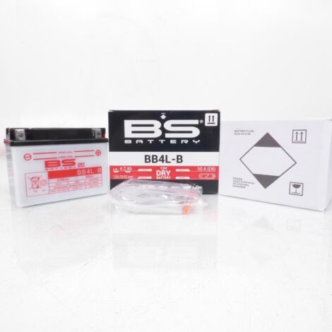Batterie BS Battery pour Scooter Piaggio 50 Zip Fast Rider 1993 à