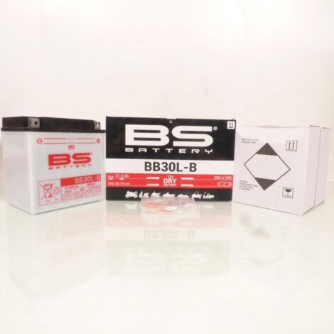 Batterie BS Battery pour Moto Harley Davidson 1450 FLHRSI Road