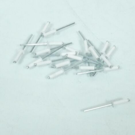 Rivet pop blanc P2R fixation plaque d'immatriculation pour moto