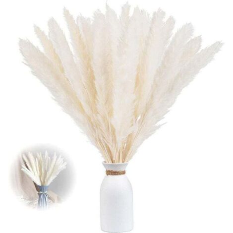 Lot de 30 Herbe de pampa séchée vases de fleurs artificielles séchées ...