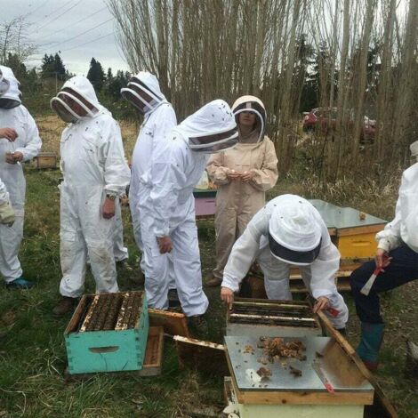 Tenue d'apiculture professionnelle XL comprenant vêtements d'apiculteur ...
