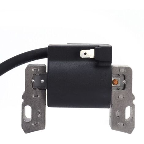 Ej.Life Remplacement de la Bobine D'allumage pour Tondeuse à Moteur 492341 490586 491312 495859 ...